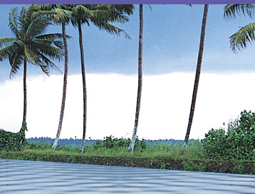 Vengal Family Website-Home Page